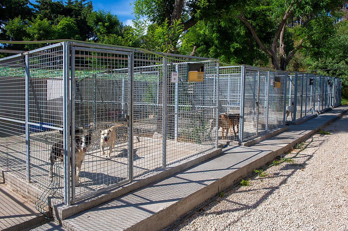 La SPA se modernise – Ville de Salon-de-Provence